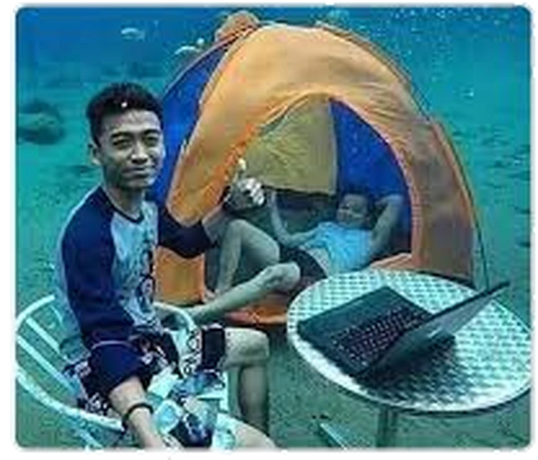 Shork and kawaiishork being idiots + lanternshork being reasonable | Fandom