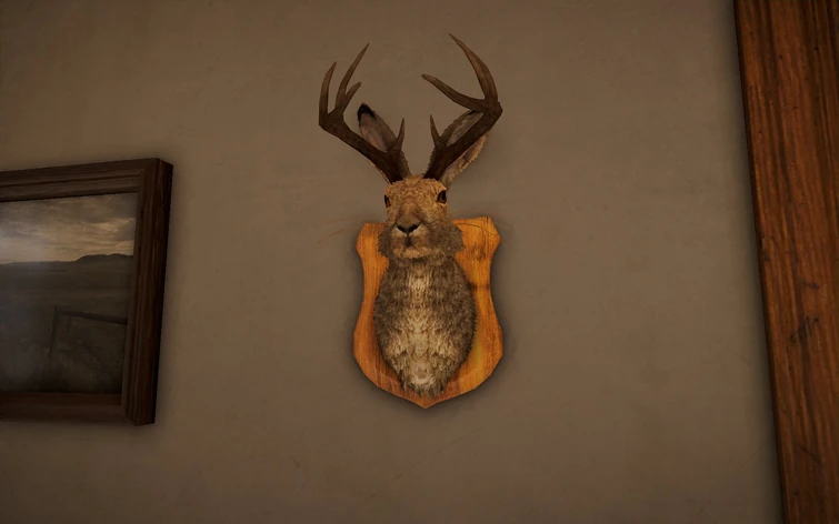 Deformed Rabbit?? | Fandom