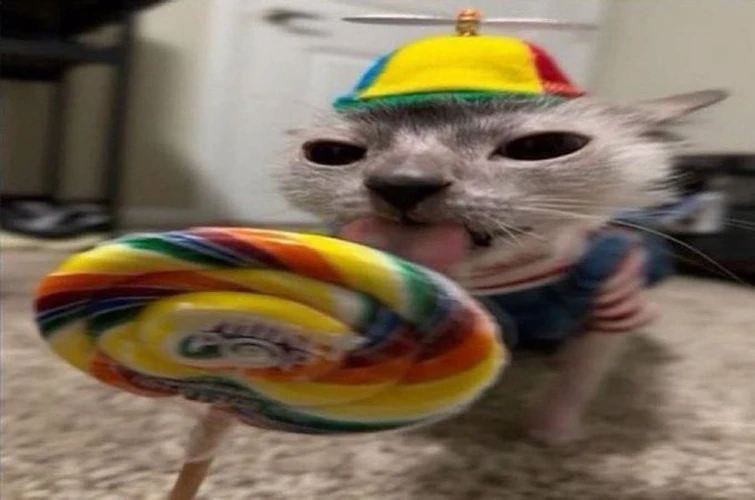 Fallen Queen | Fandom