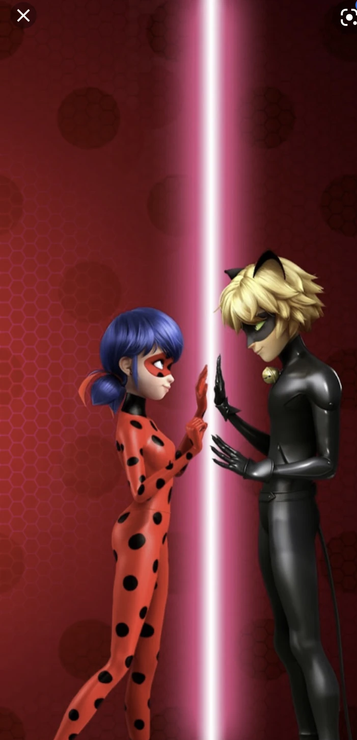 LadyNoir Pic | Fandom