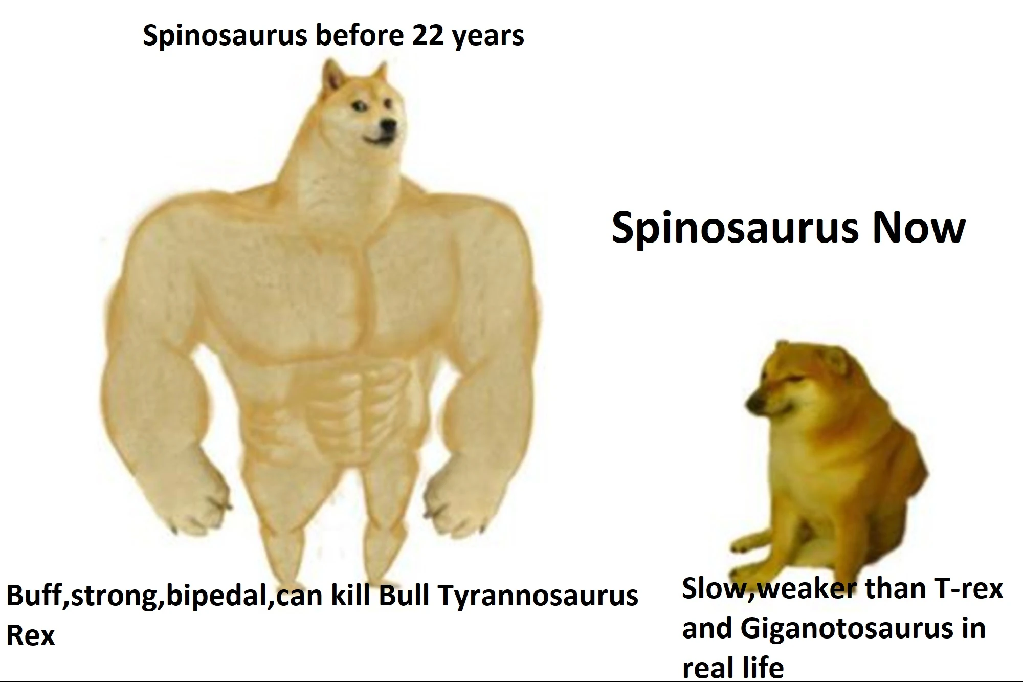 Spinosaurus meme | Fandom