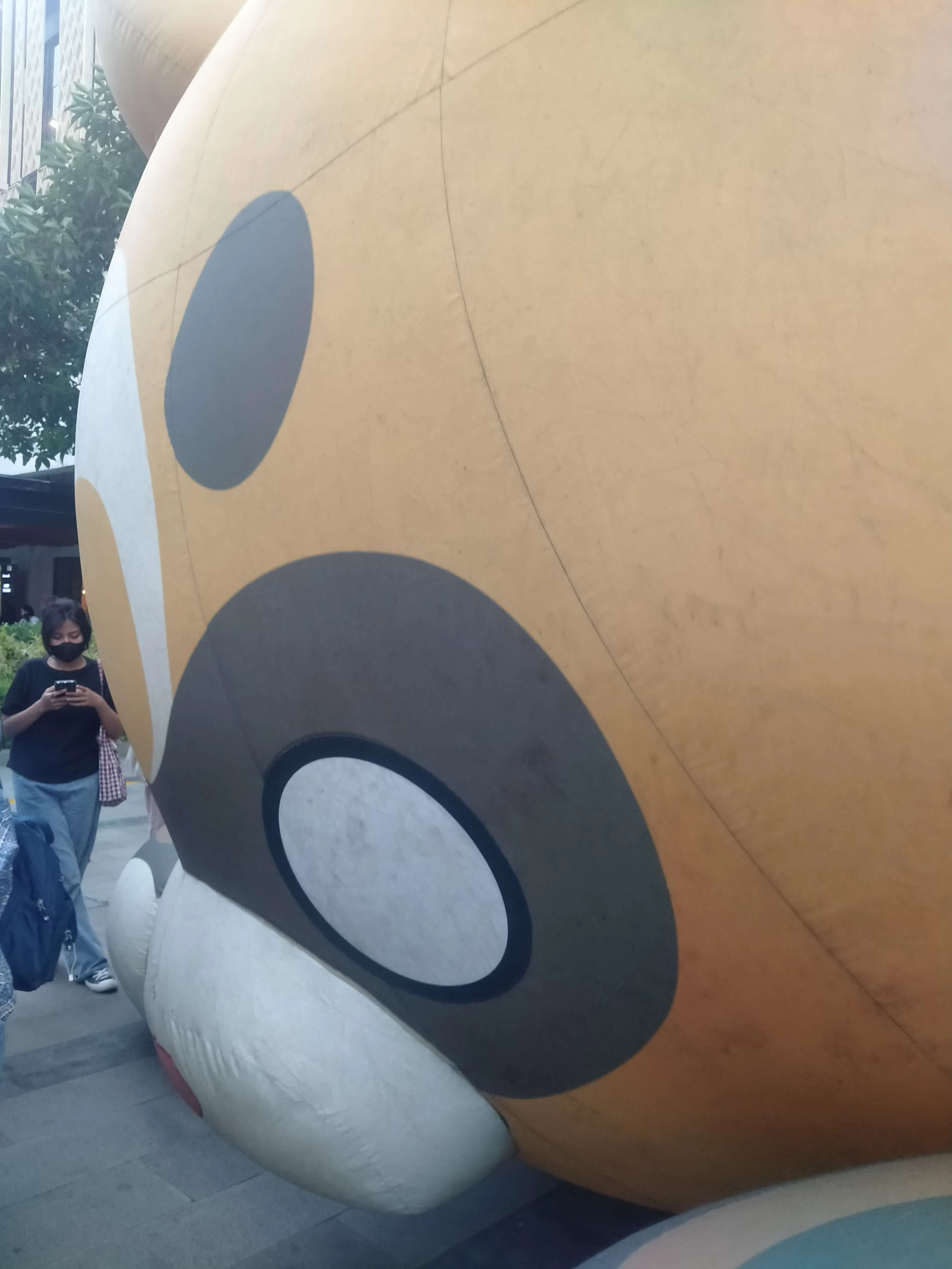 Inflatable Guoba | Fandom