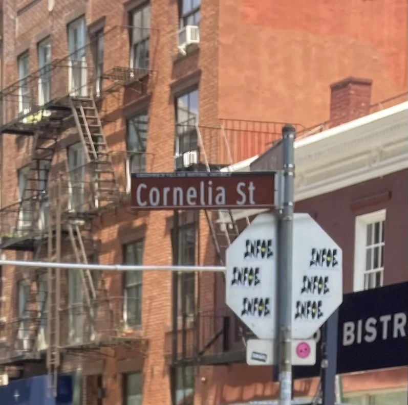GUYS I ACTUALLY WATCHED CORNELIA STREET | Fandom