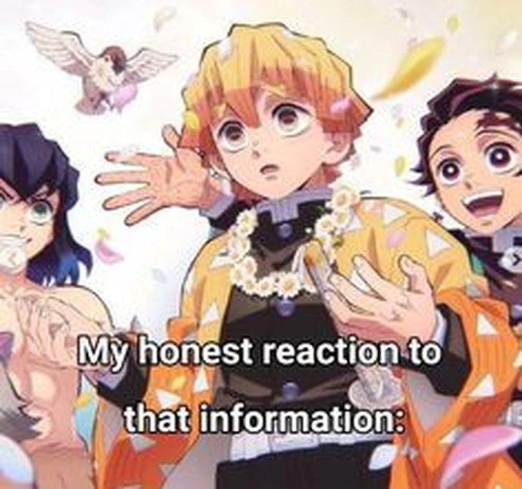 random meme | Fandom