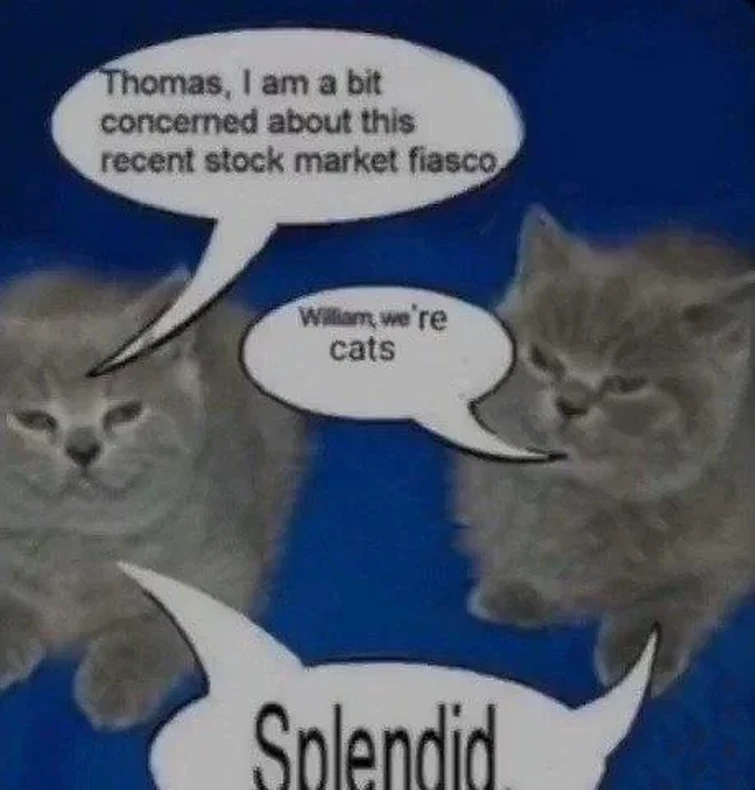 This is peak content | Fandom