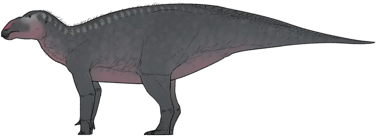 Fossil News: Part III | Fandom