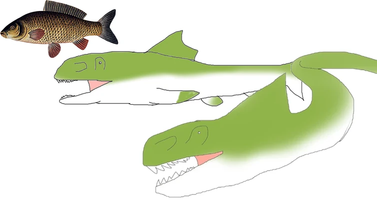My fanmade theory about Fish Monsters ( Revised ) | Fandom