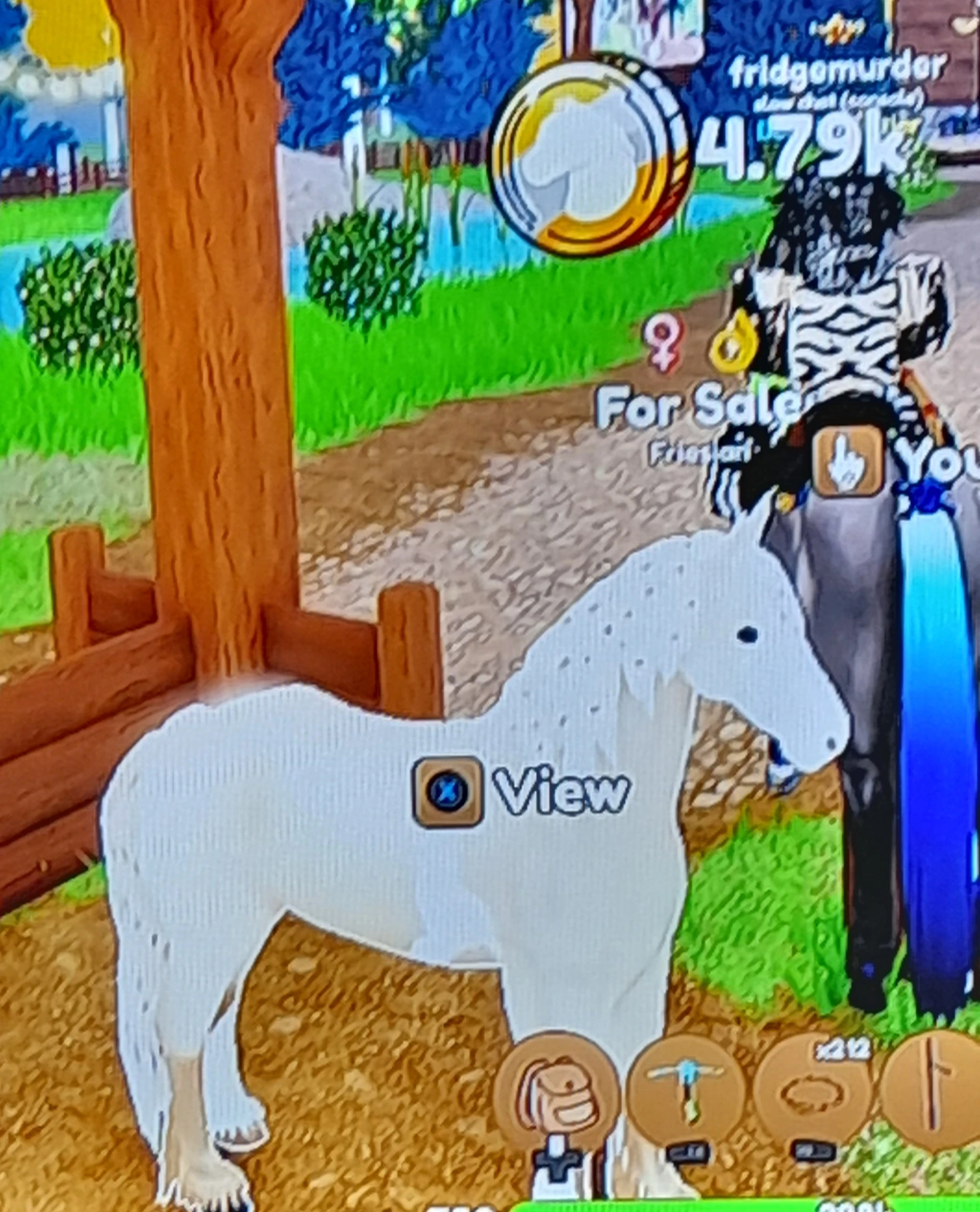 rare old west tobiano fri sighting | Fandom