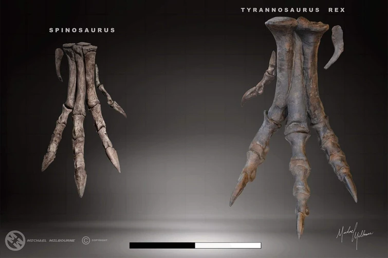 Question About Spinosaurus | Fandom