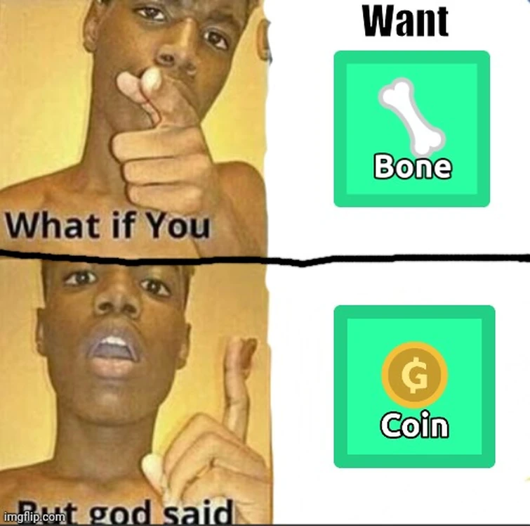 Random Memes | Fandom