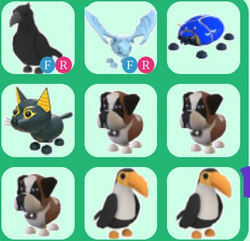 % to FR giraffe/NFR crow? | Fandom