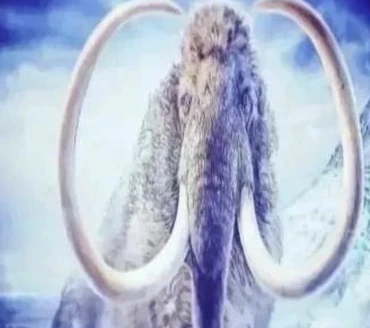 Discuss Everything About Tower Blitz Wiki | Fandom