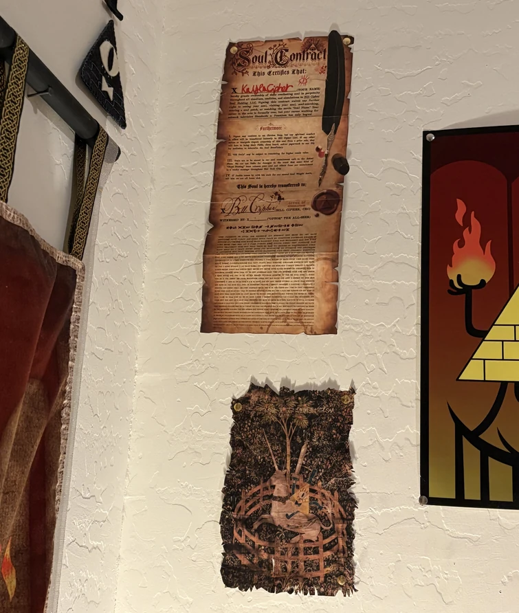 New Collection Updates :3 | Fandom