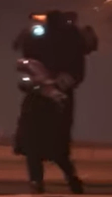 Normal cameraman 3.0 | Fandom