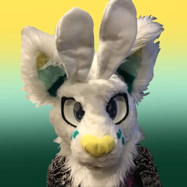 FaCe ReAvEaL!!!,! | Fandom