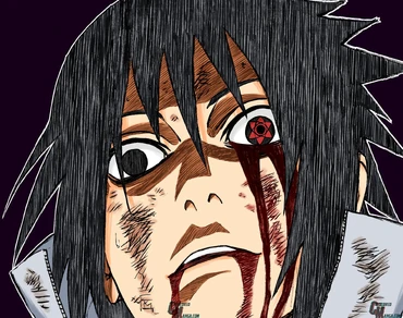 Naruto vs Sasuke | Fandom