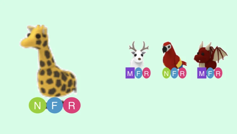 wfl? i’m the nfr giraffe | Fandom