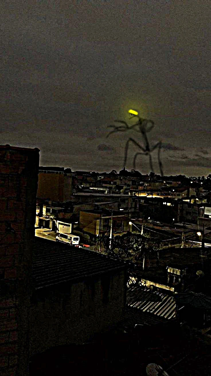 The dusk lights | Fandom