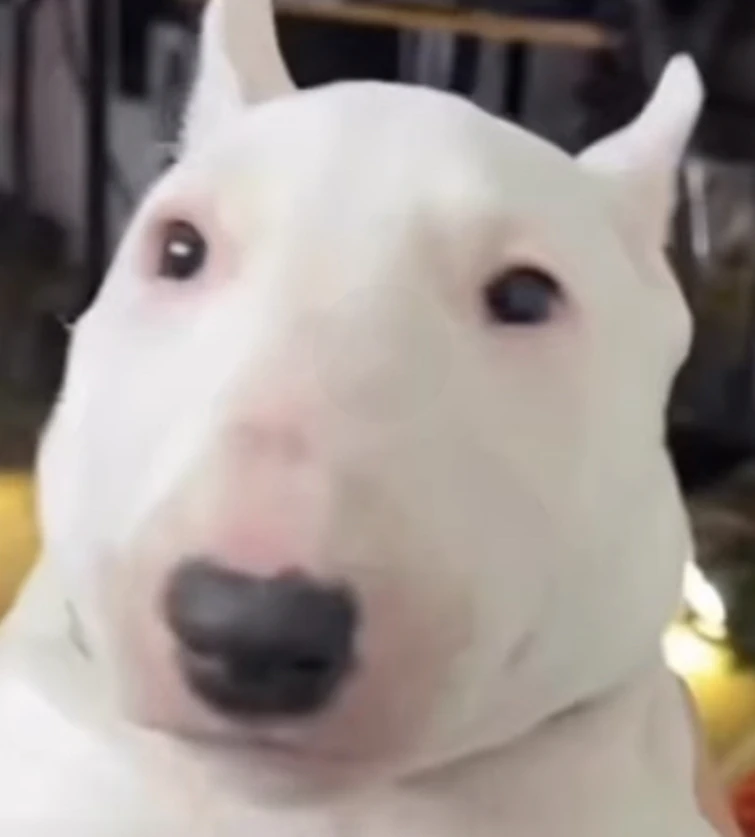 Caleb doing his thang | Fandom