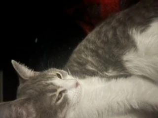 Would you and the and the tor a quarter? | Fandom