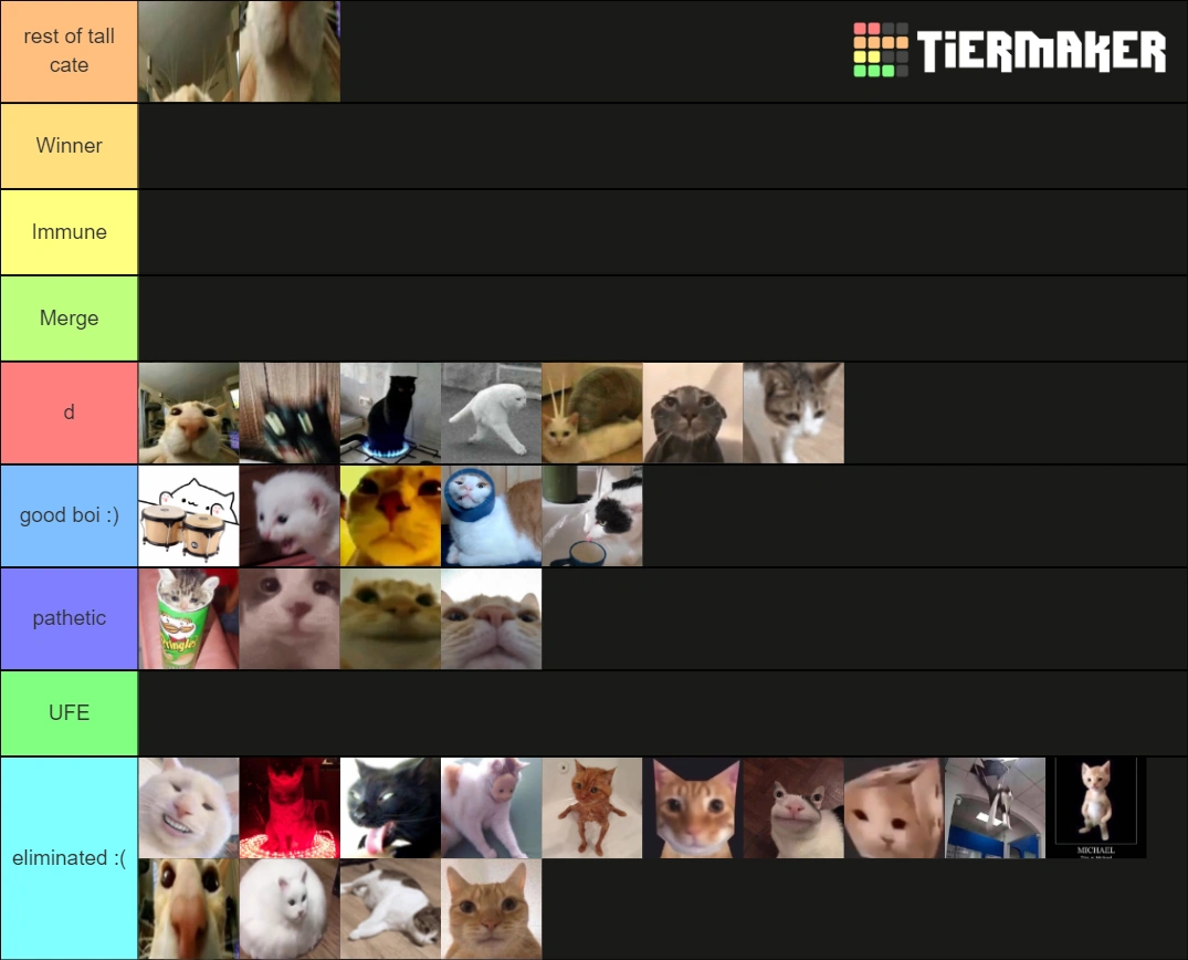 Cat Voting 15! | Fandom