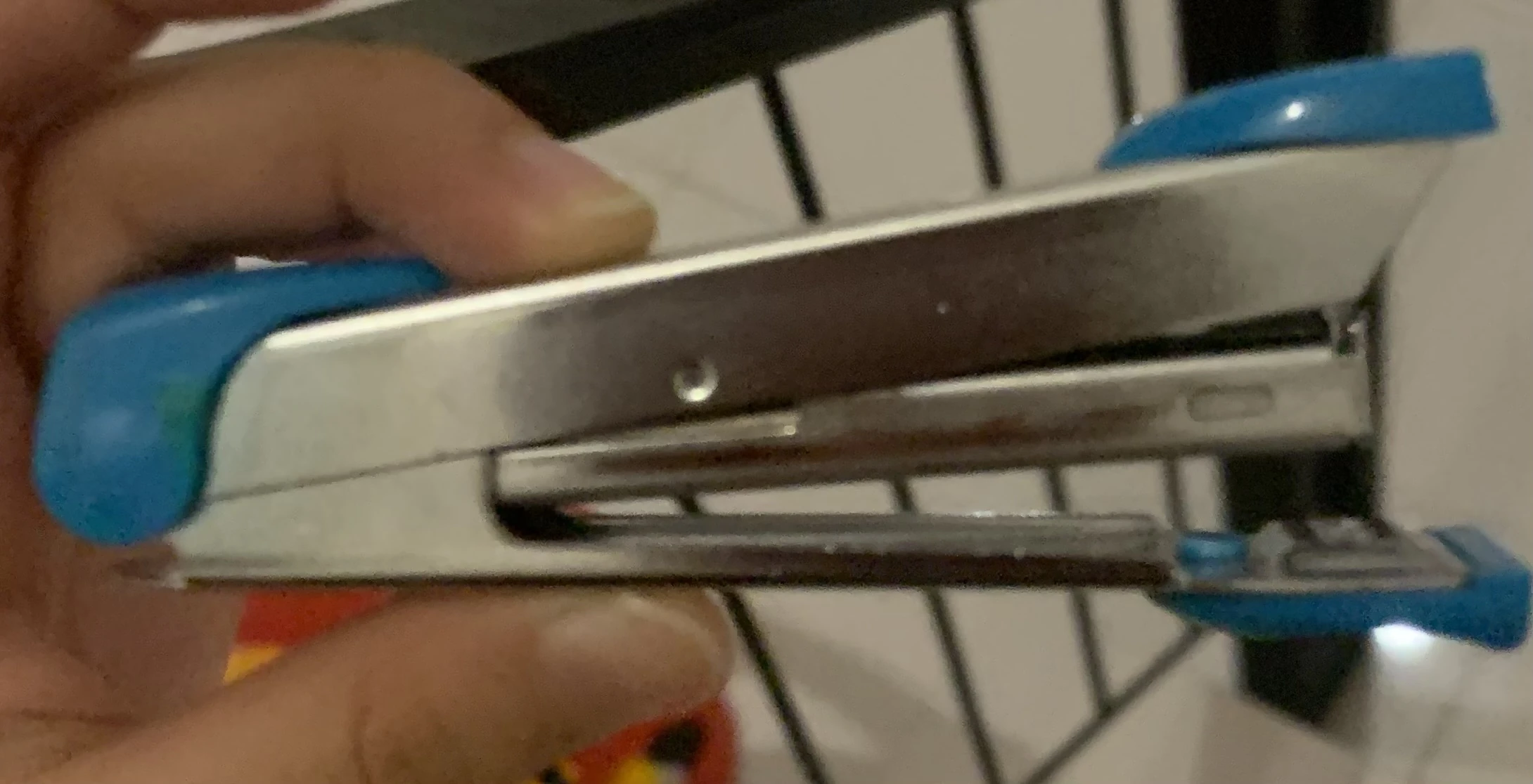 I got blue mini stapy | Fandom