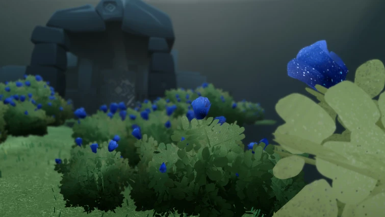 My bloom photos so far | Fandom