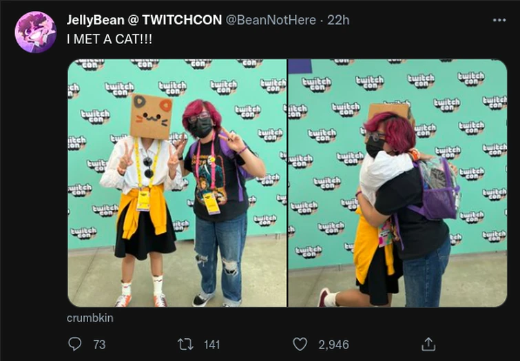 TWITTER BUT TIWTCHCON DAY 2 & 1 | Fandom