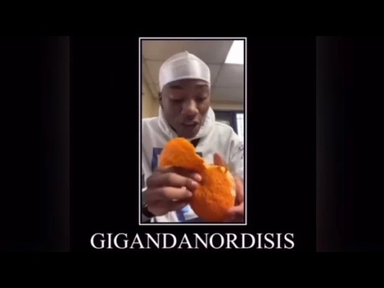 guys this orange | Fandom