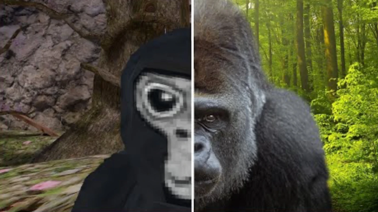 Me in gorilla in gorilla tag | Fandom