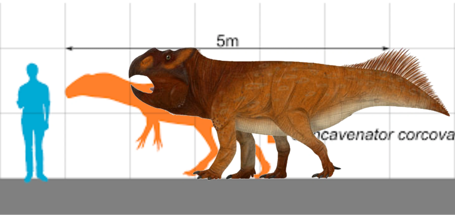 Why Udanoceratops would beat a Comcavenator in a fight | Fandom