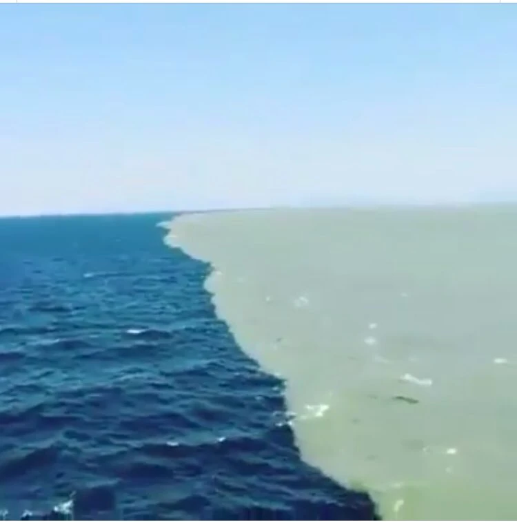Where the Pacific and Atlantic Meet | Fandom