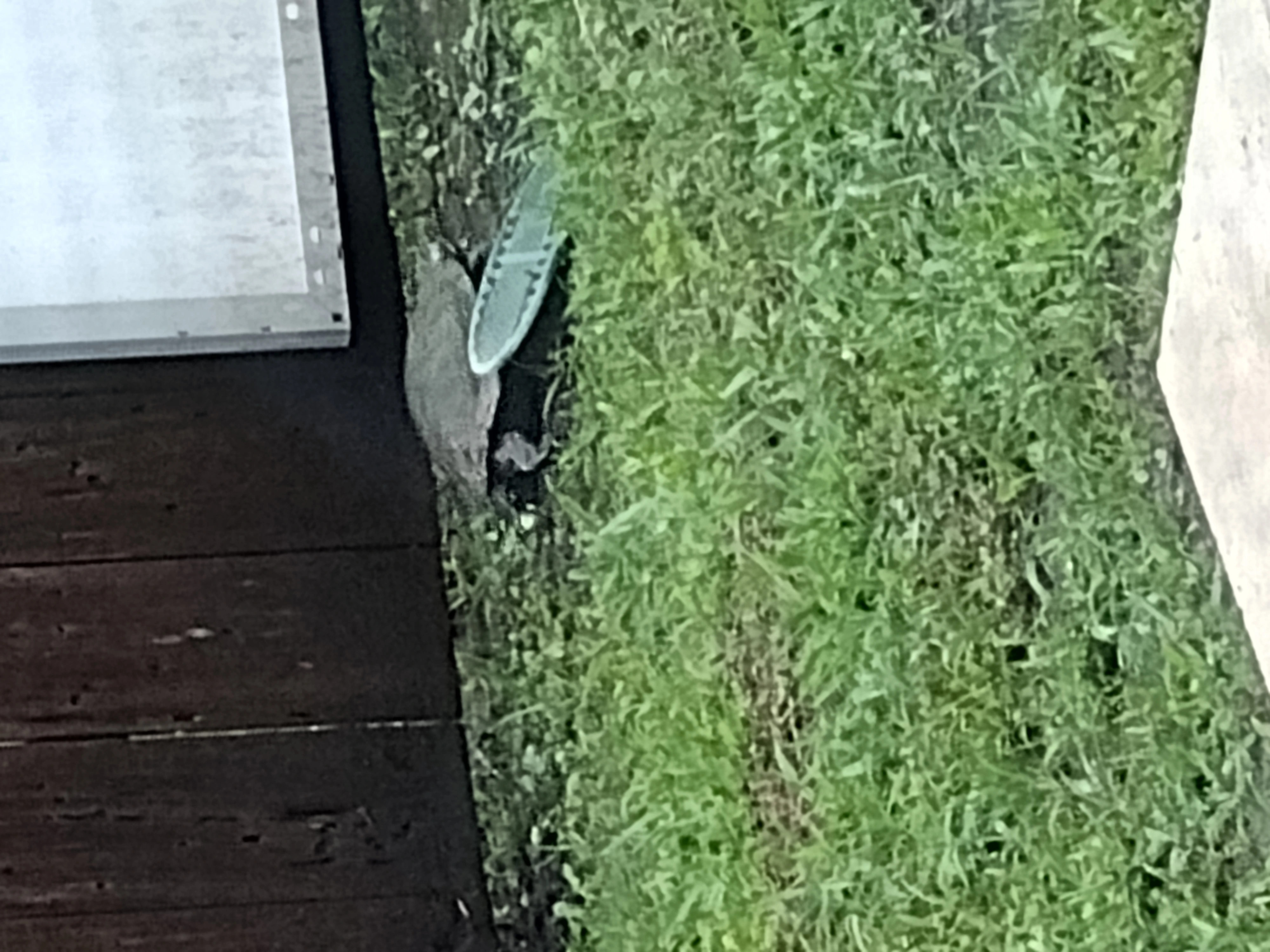 What Cha doin here? | Fandom