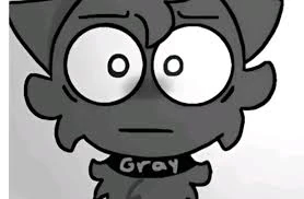 Gray Q&A/Roleplay! (Inspired By FunnyNerd59) | Fandom