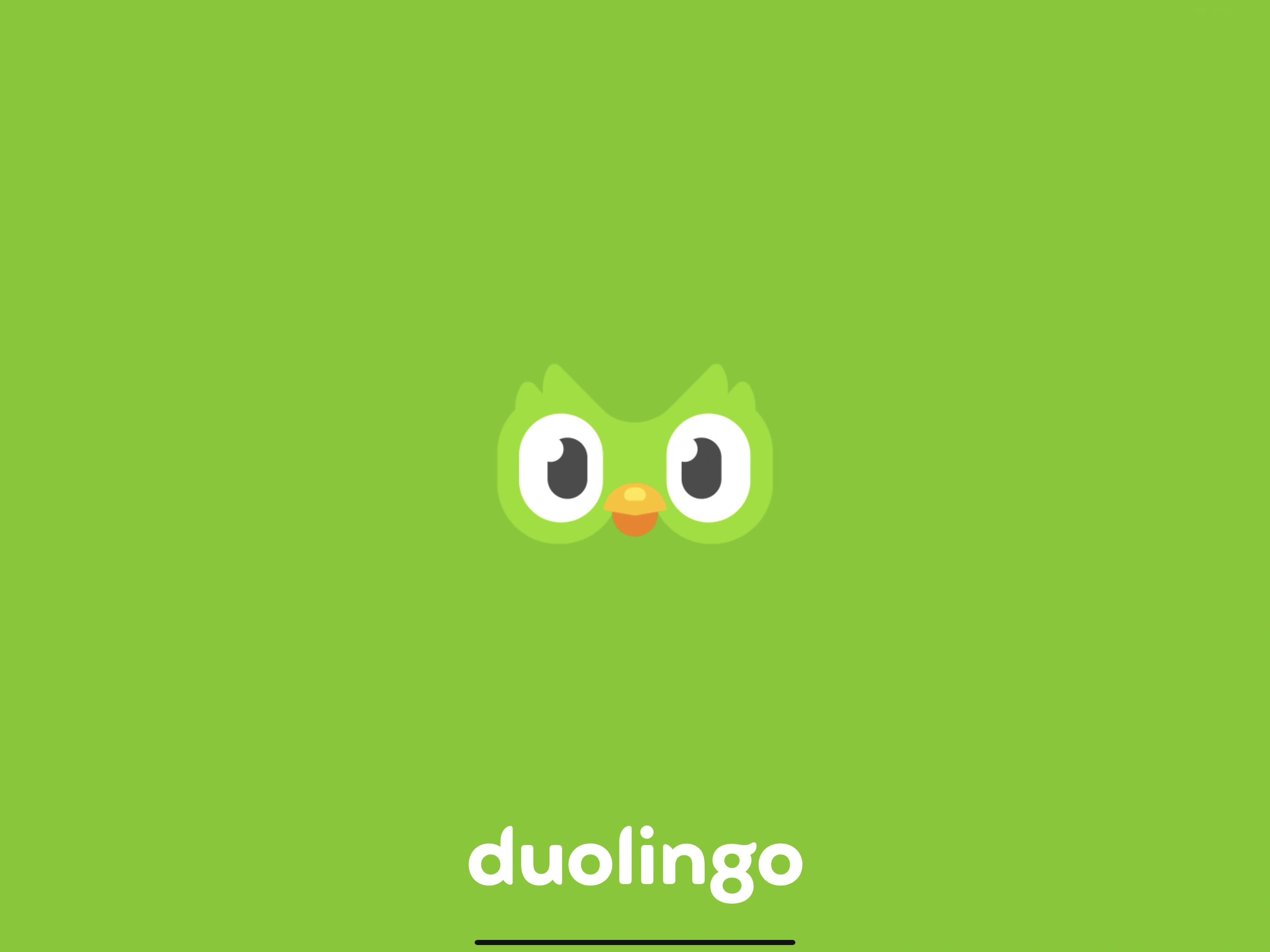 So I missed a day of Duolingo Spanish lessons | Fandom