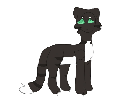 helloooo name ideas (note these are all wc ocs) | Fandom