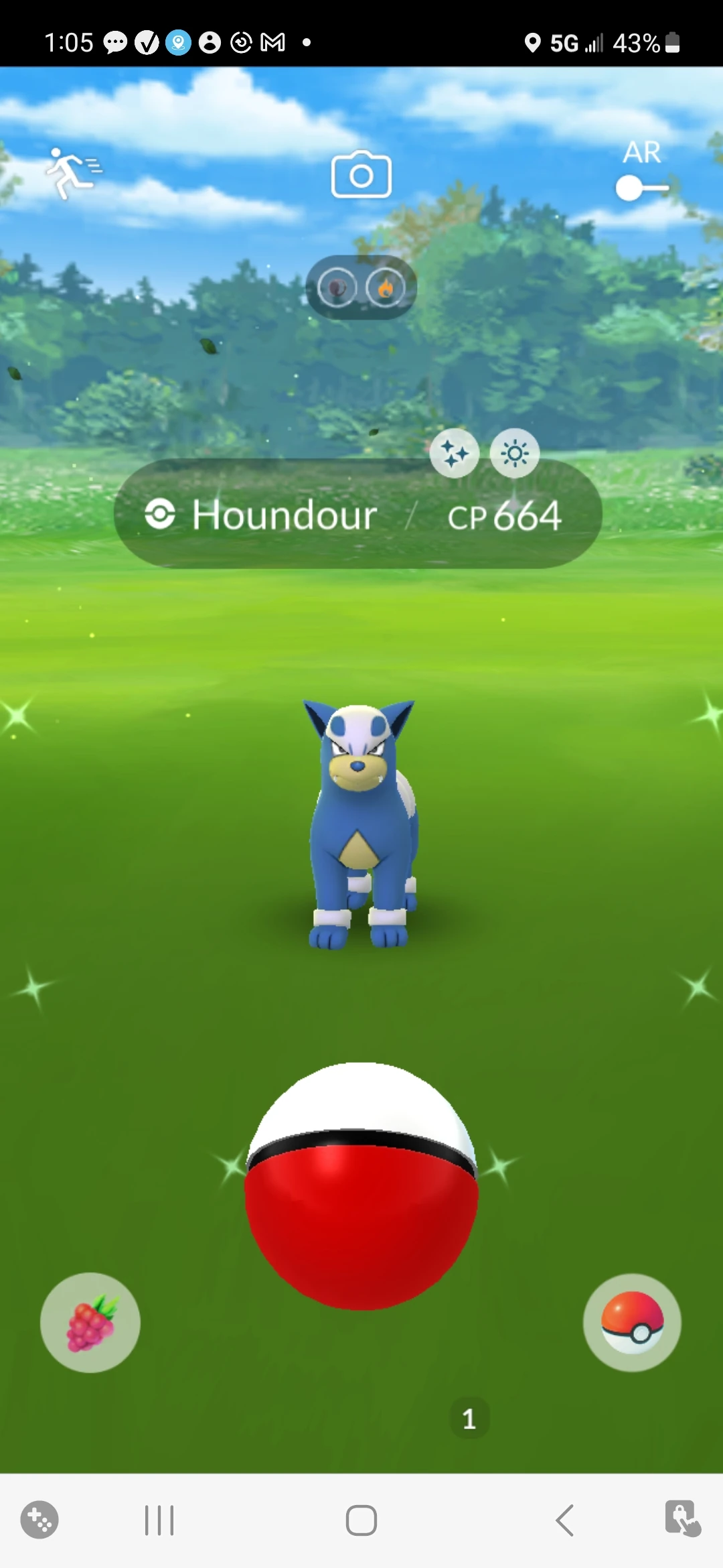 Finally got a Shiny Houndour out of this event and... | Fandom