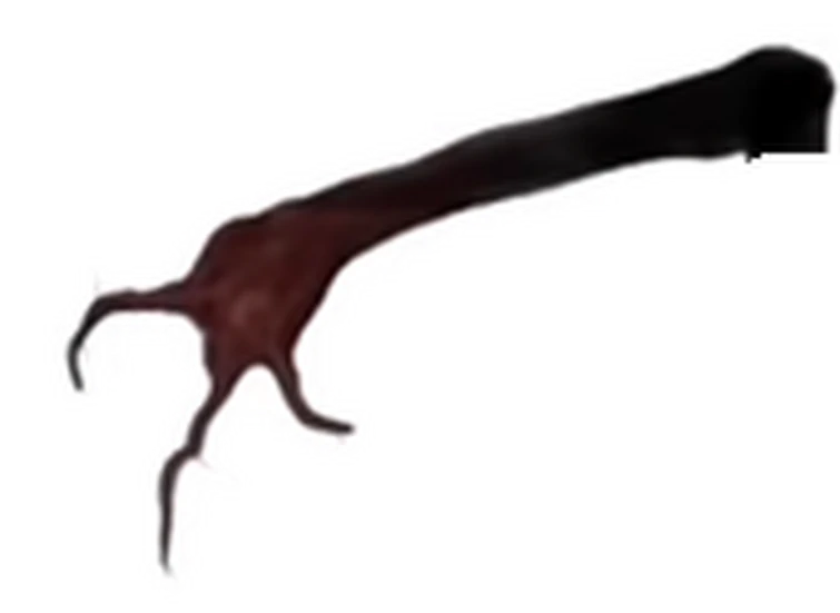 boiled one rig | Fandom