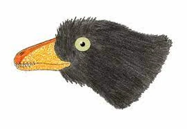 Discuss Everything About Prehistoria Fandom | Fandom