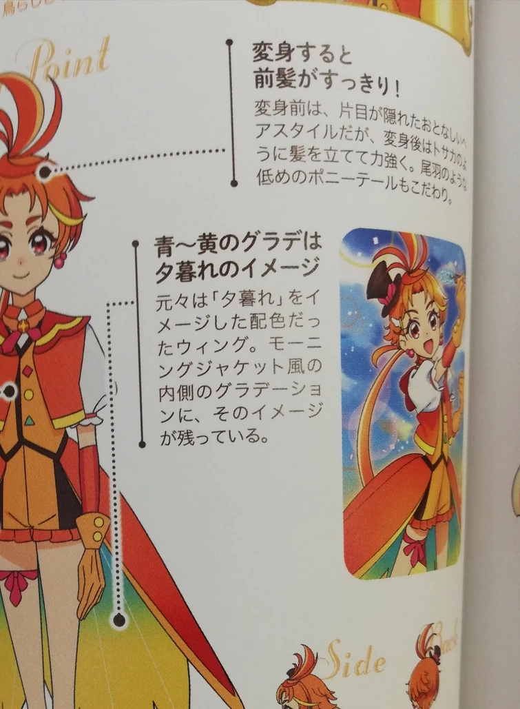 The information of Cure Wing/Tsubasa Yuunagi (on 20th Anniversary ...