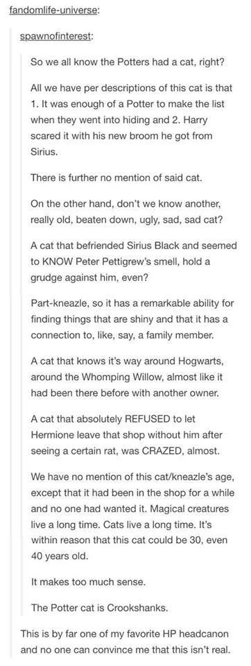 A whole lot of headcanons -- some smart, some wholesome, some funny ...
