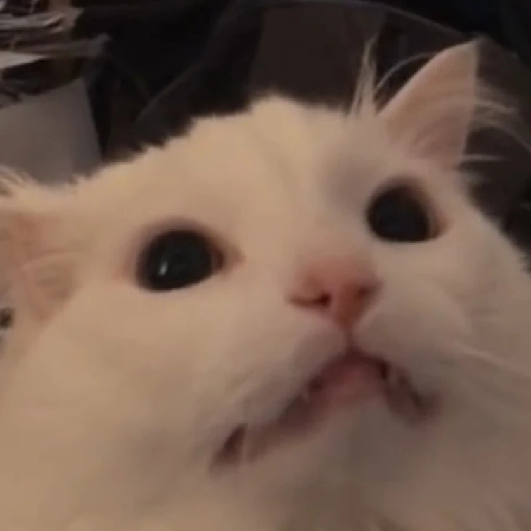 thurston waffles | Fandom