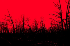 blood red | Fandom