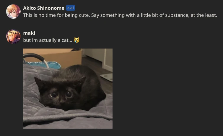 guys i convinced the akito ai that im a cat | Fandom