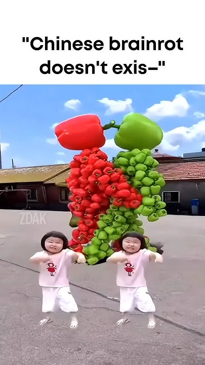 Chinese brairott doesn’t exi- | Fandom