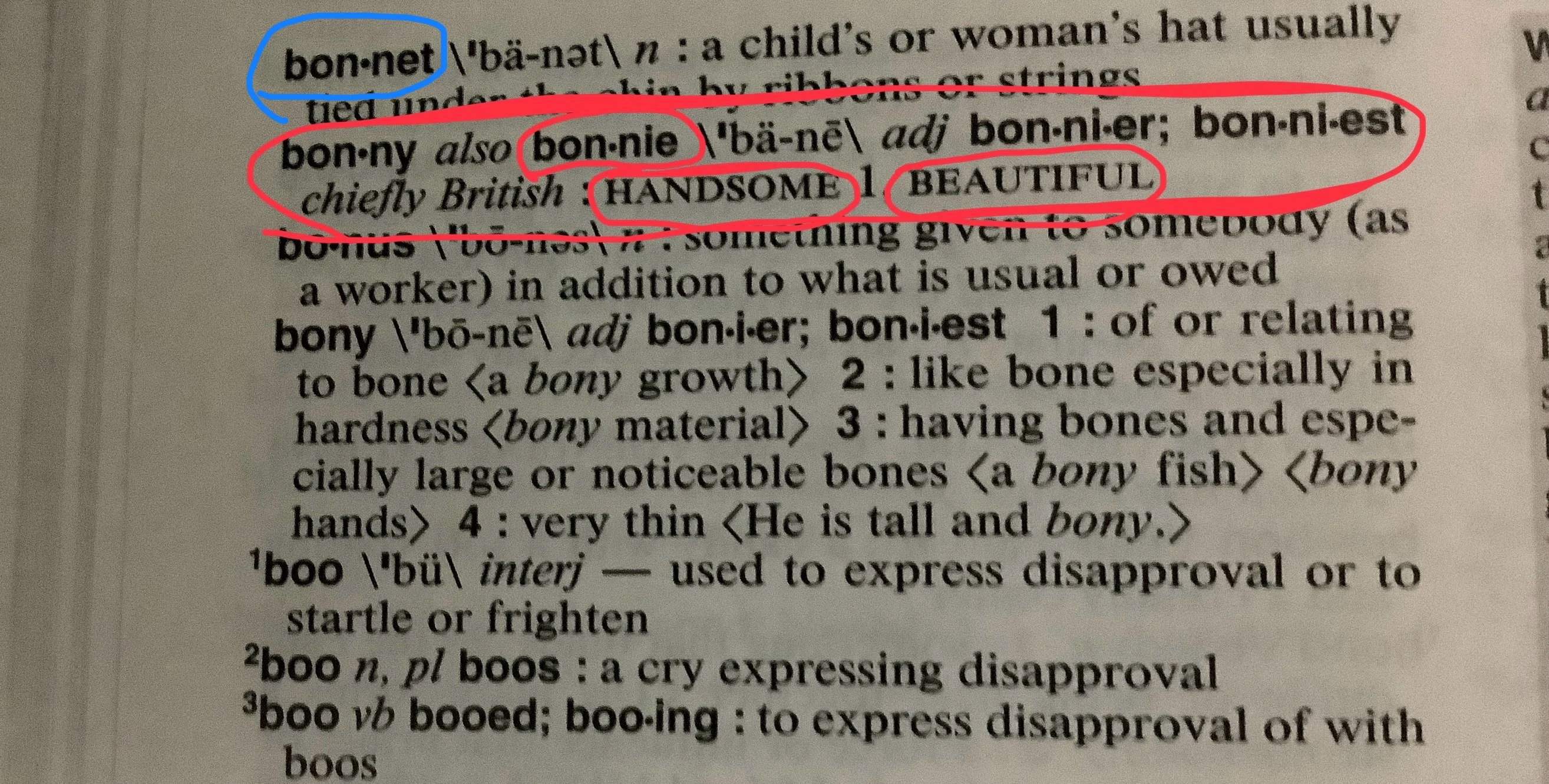 Bonnie is literally the definition of handsome proof | Fandom