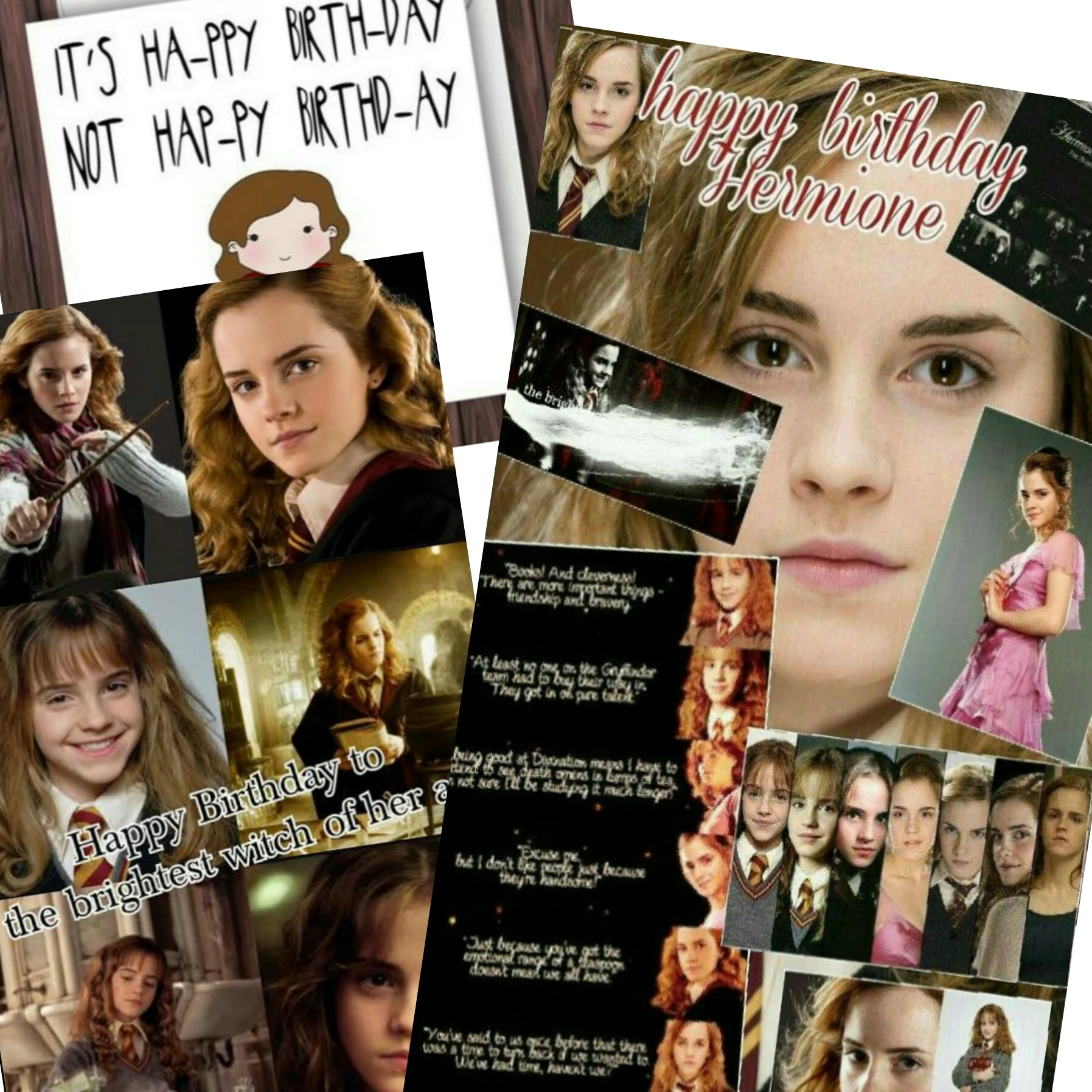 Happy Birthday HERMIONE🎂🎂 | Fandom