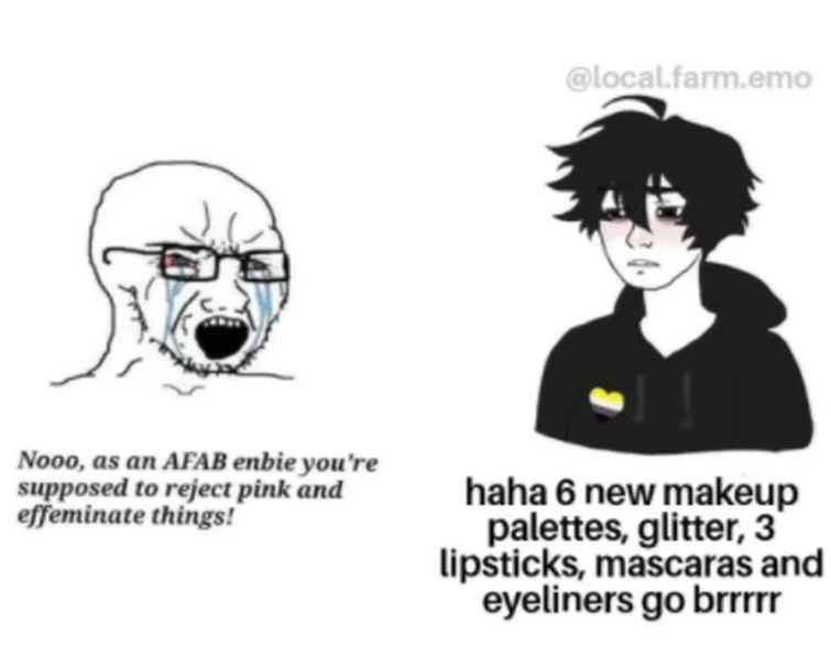 AFAB trans/enby memes because im tired and want a dick not boobs | Fandom