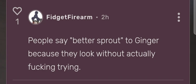 I'm so tired of people saying you have a skill issue with Ginger's ...