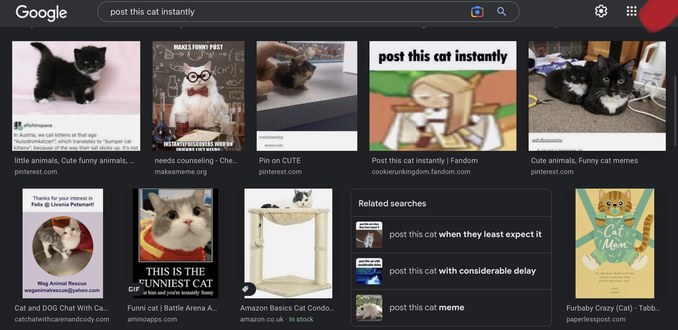 She's on Google | Fandom